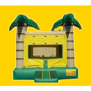 Palm Jumper 1 Rentals in North County | Kids Jumpers Rental